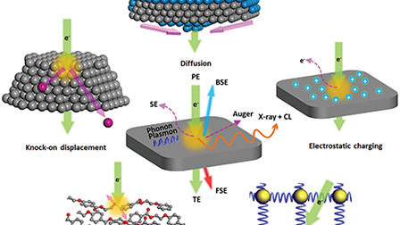 Transmission electron microscopy studies of organic–inorganic hybrid ...