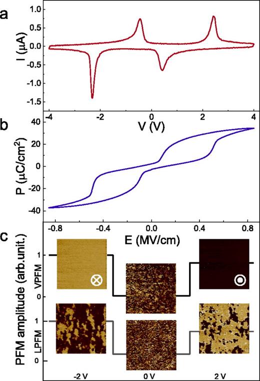Ferroelectric phase transitions in epitaxial antiferroelectric PbZrO3 ...