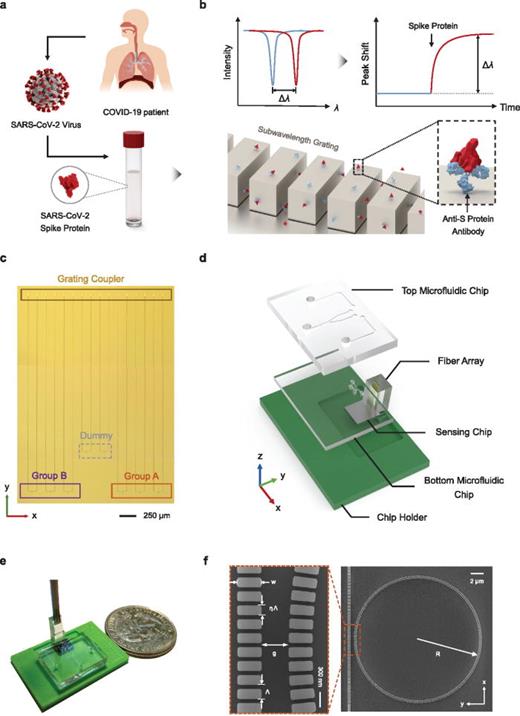A point-of-care biosensor for rapid detection and differentiation of ...