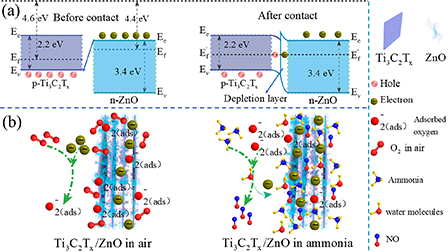 Low operating temperature and highly selective NH3 chemiresistive gas ...