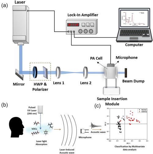 Biophotonics technologies for the detection of VOCs in healthcare ...