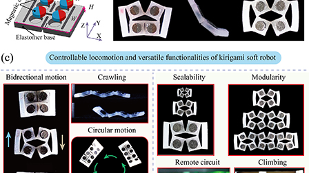 Untethered kirigami soft robots with programmable locomotion | Applied Physics Reviews | AIP ...