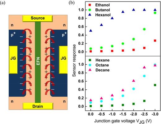 Electrostatically formed nanowire (EFN) transistor—An ultrasensitive ...