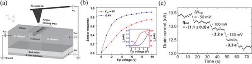 Electrostatically formed nanowire (EFN) transistor—An ultrasensitive ...