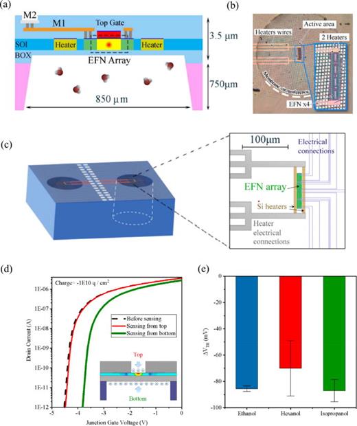 Electrostatically formed nanowire (EFN) transistor—An ultrasensitive ...