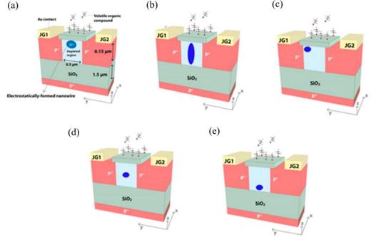 Electrostatically formed nanowire (EFN) transistor—An ultrasensitive ...