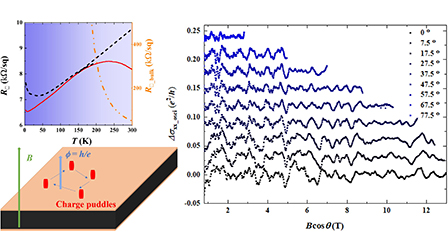 Quantum interference effects in a 3D topological insulator with high-temperature bulk-insulating ...
