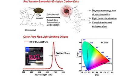 Cross-linking polymerization and carbonization of biomass chlorophyll for carbon dot-based ...