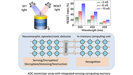 In situ cryptography in a neuromorphic vision sensor based on light-driven memristors | Applied ...
