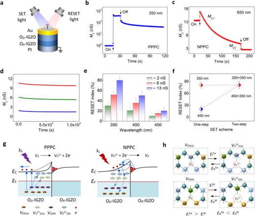In situ cryptography in a neuromorphic vision sensor based on light-driven memristors | Applied ...