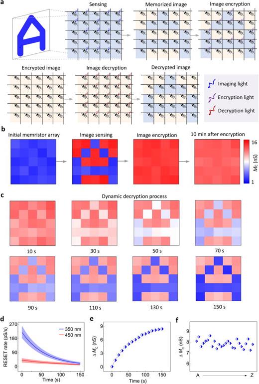 In situ cryptography in a neuromorphic vision sensor based on light ...