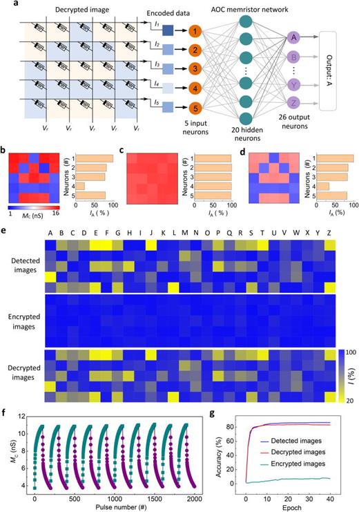 In situ cryptography in a neuromorphic vision sensor based on light-driven memristors | Applied ...