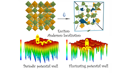 Topological and compositional disorder induced exciton Anderson ...
