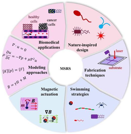 Nature-inspired miniaturized magnetic soft robotic swimmers | Applied ...