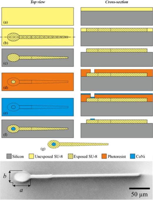Nature-inspired miniaturized magnetic soft robotic swimmers | Applied ...