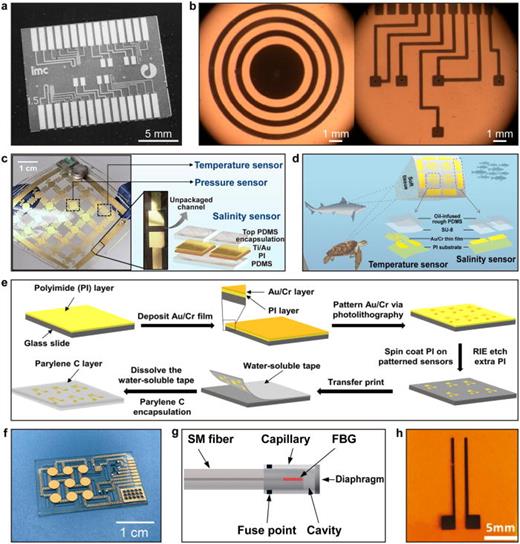 Emerging MEMS sensors for ocean physics: Principles, materials, and ...