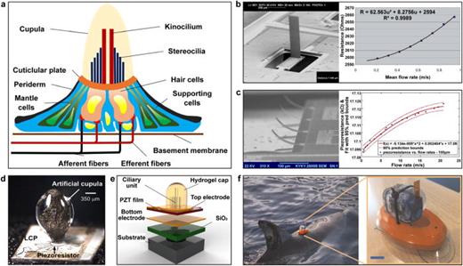 Emerging MEMS sensors for ocean physics: Principles, materials, and ...