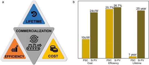 Encapsulating perovskite solar cells for long-term stability and ...