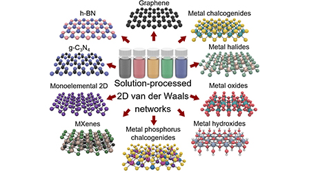 Solution-processed 2D van der Waals networks: Fabrication strategies ...