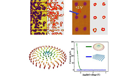 Highly tunable skyrmion-like polar nanodomains for high-density ...