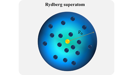 Rydberg superatoms: An artificial quantum system for quantum ...