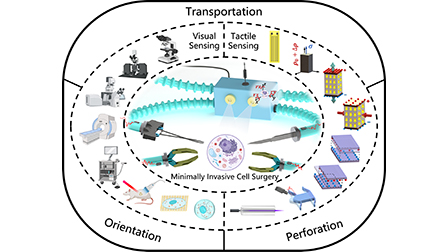 Intelligent sensing for the autonomous manipulation of microrobots ...