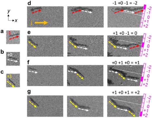 Fundamentals and applications of the skyrmion Hall effect | Applied ...
