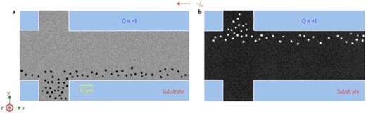 Fundamentals and applications of the skyrmion Hall effect | Applied ...