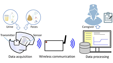 Smart diapers: From wetness monitoring to early diagnosis | Applied ...