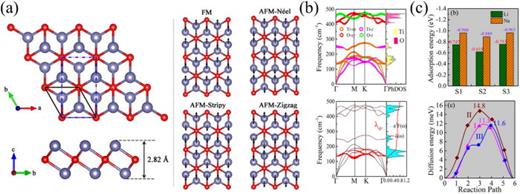 Magnetic electrides: Recent advances in materials realization and ...