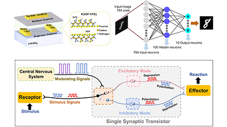 High-stable multifunctional dynamically reconfigurable artificial synapses based on hybrid ...