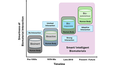 Smart biomaterials in healthcare: Breakthroughs in tissue engineering ...