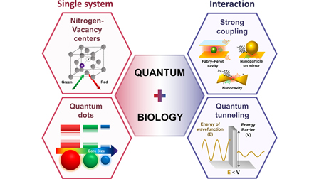 Advancing biosensing and bioimaging with quantum technologies: From ...