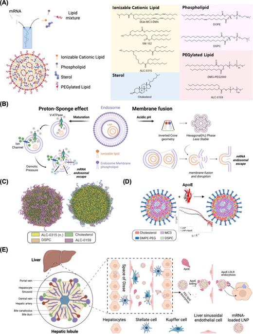 Lipid nanoparticle-assisted mRNA therapy for cancer treatment | Applied ...