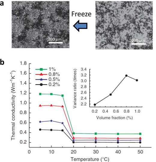 Thermal diodes, regulators, and switches: Physical mechanisms and ...