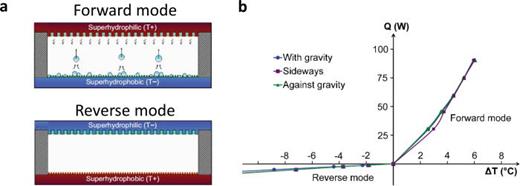 Thermal diodes, regulators, and switches: Physical mechanisms and ...