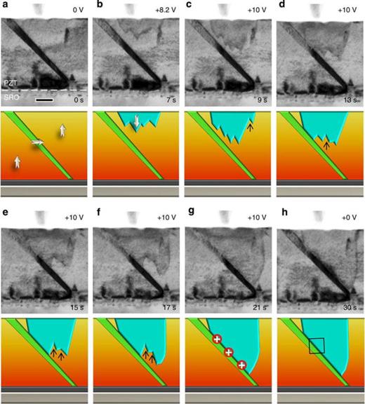 Superdomain dynamics in ferroelectric-ferroelastic films: Switching ...