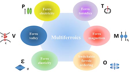 Domain switching in single-phase multiferroics | Applied Physics ...