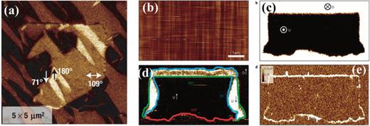 Domain switching in single-phase multiferroics | Applied Physics ...