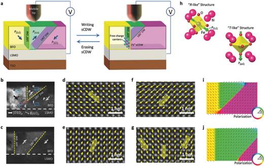 Domain switching in single-phase multiferroics | Applied Physics ...