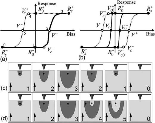 Domain switching in single-phase multiferroics | Applied Physics ...