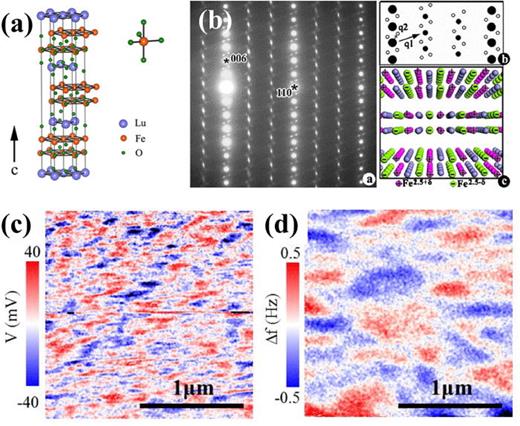 Domain switching in single-phase multiferroics | Applied Physics ...