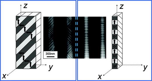 Domain switching in single-phase multiferroics | Applied Physics ...