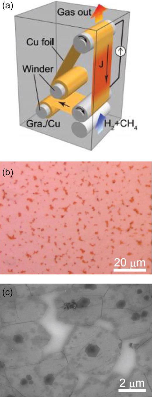 A review on high throughput roll-to-roll manufacturing of chemical ...
