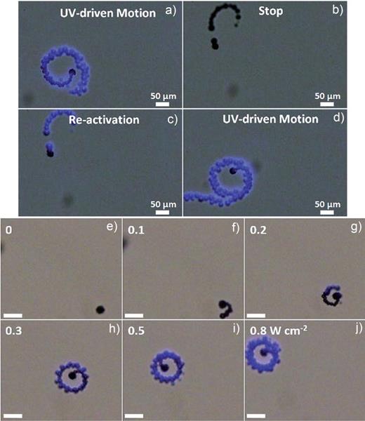 Janus nanostructures for heterogeneous photocatalysis | Applied Physics ...