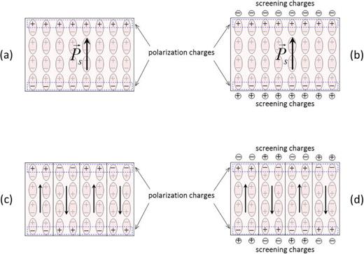 Biological applications of ferroelectric materials | Applied Physics ...