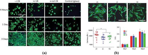 Biological applications of ferroelectric materials | Applied Physics ...