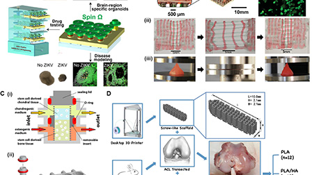 3D printing in cell culture systems and medical applications | Applied ...