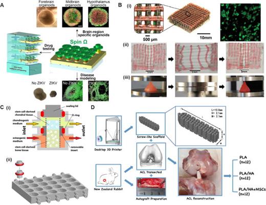3D printing in cell culture systems and medical applications | Applied ...