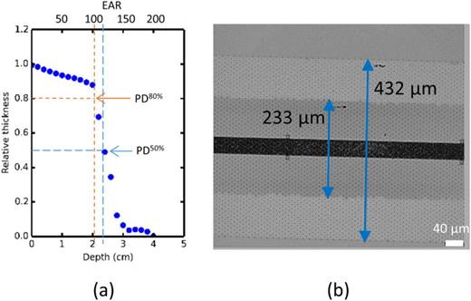 Conformality in atomic layer deposition: Current status overview of analysis and modelling ...